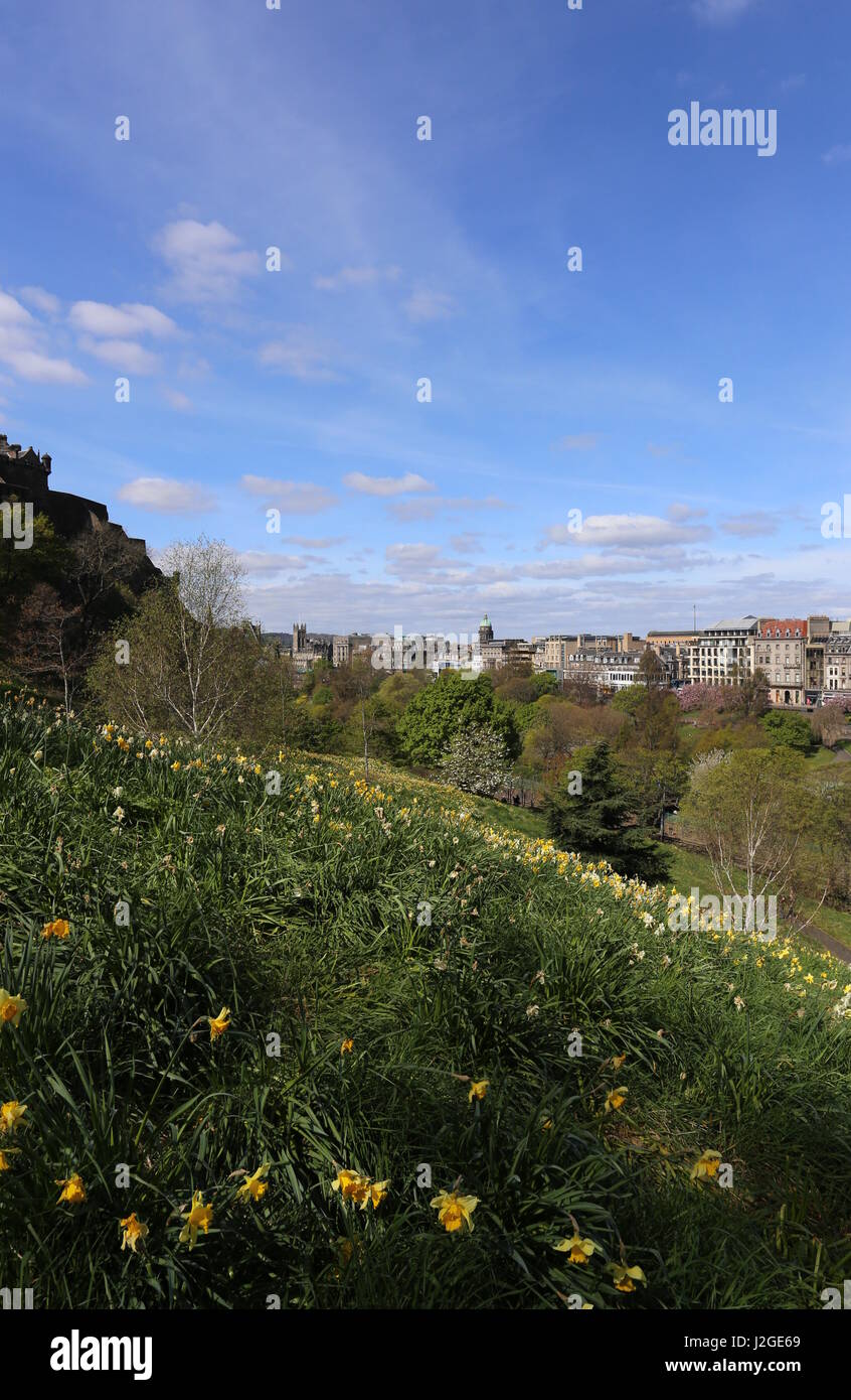 Princes Gardens with Edinburgh Castle in springtime Scotland April 2017 ...