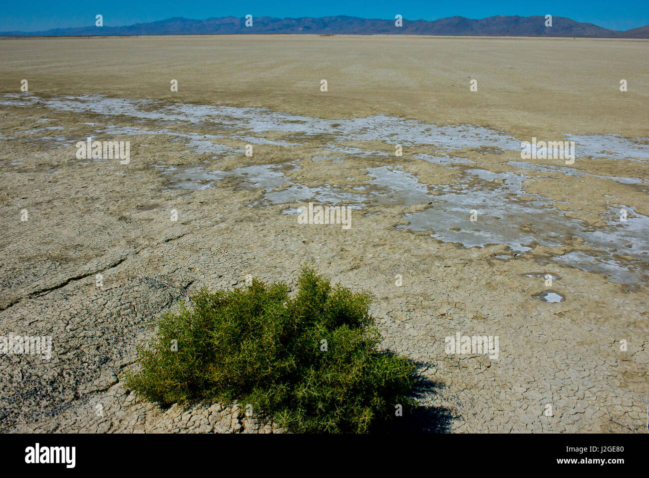 USA, Nevada, Smoke Creek Desert, Poodle Mountain and Twin Peaks Fox ...