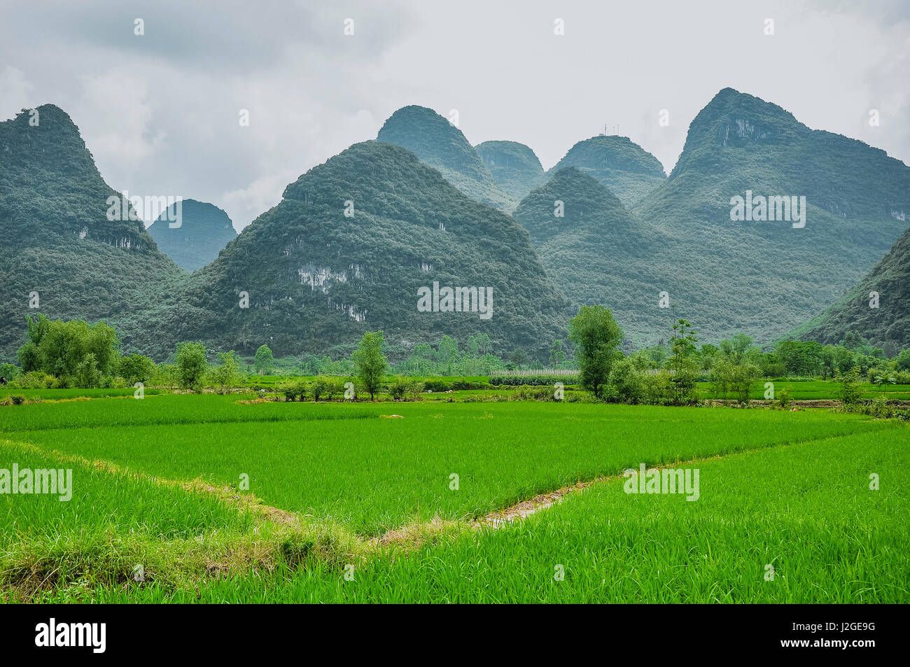 Beautiful countryside scenery in spring Stock Photo - Alamy