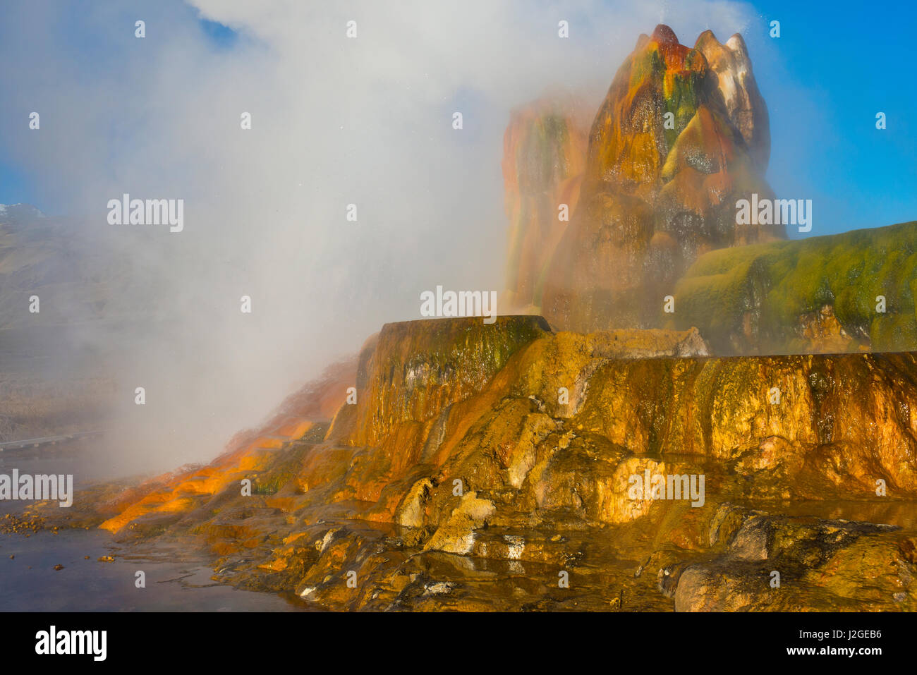 USA, Nevada, Black Rock Desert, Fly Geyser, Erupting (Large format ...
