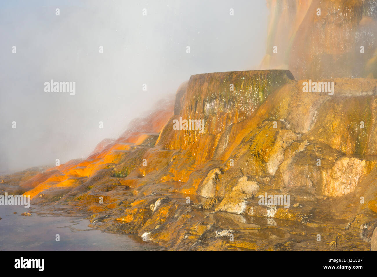 USA, Nevada, Black Rock Desert, Fly Geyser, Erupting (Large format ...