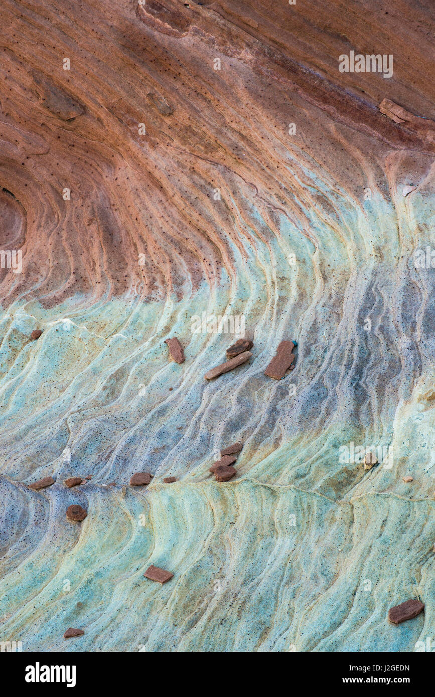 Usa, Nevada, Valley of Fire State Park. Erosion shaped abstract design ...