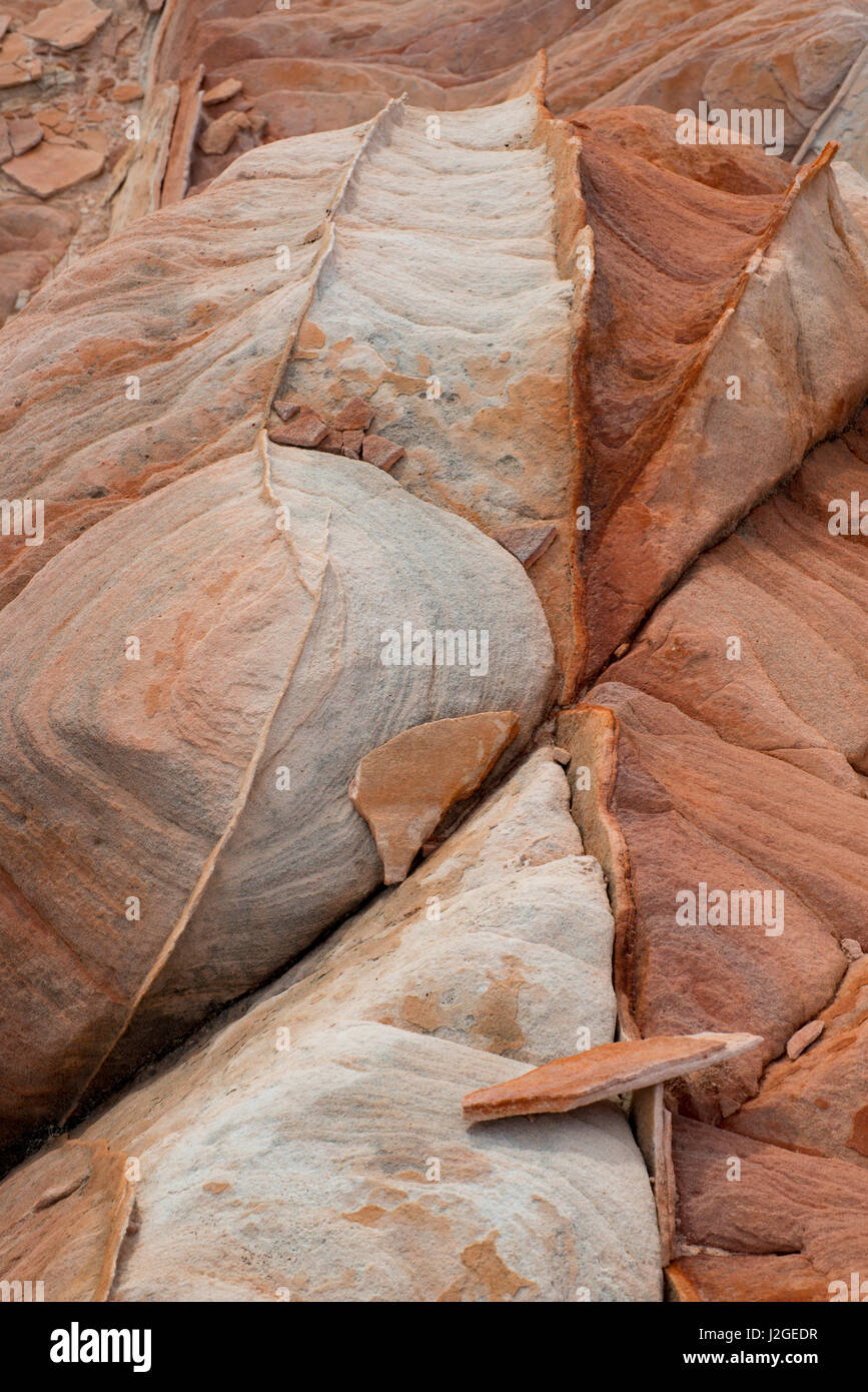 USA, Nevada, Valley of Fire State Park. Erosion abstract sandstone ...