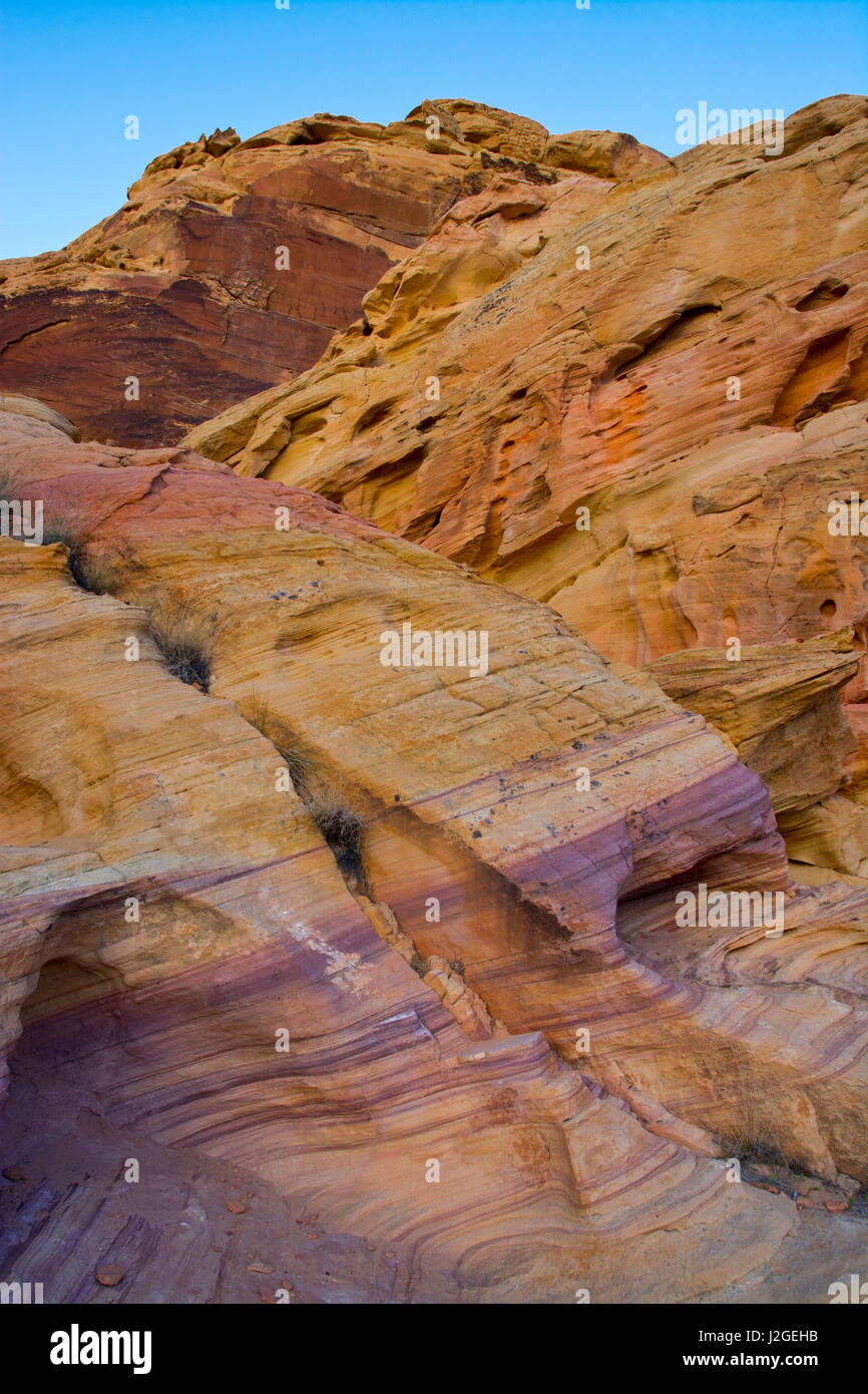 Pink Canyon, Valley of Fire State Park, Overton, Nevada, USA Stock ...