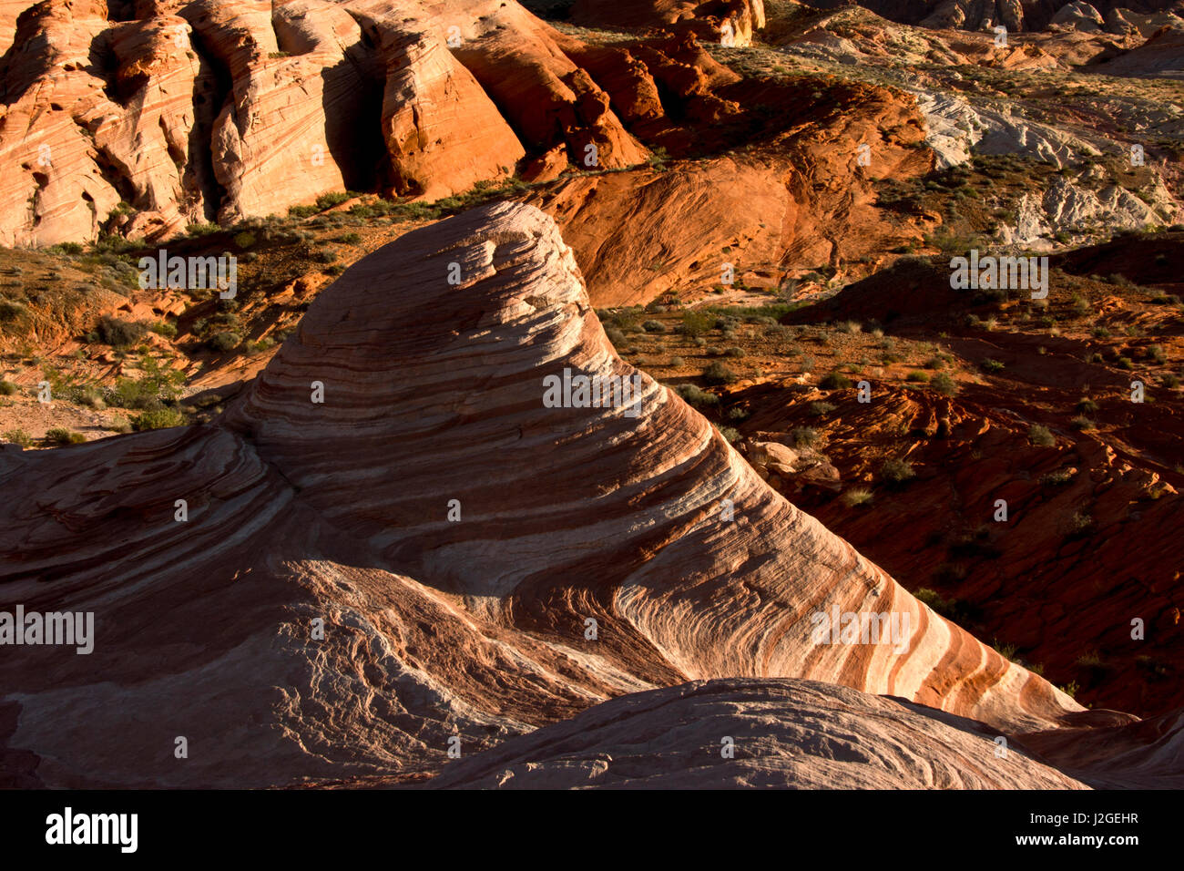 Fire Wave, Sunset, Valley of Fire State Park, Nevada, USA Stock Photo ...