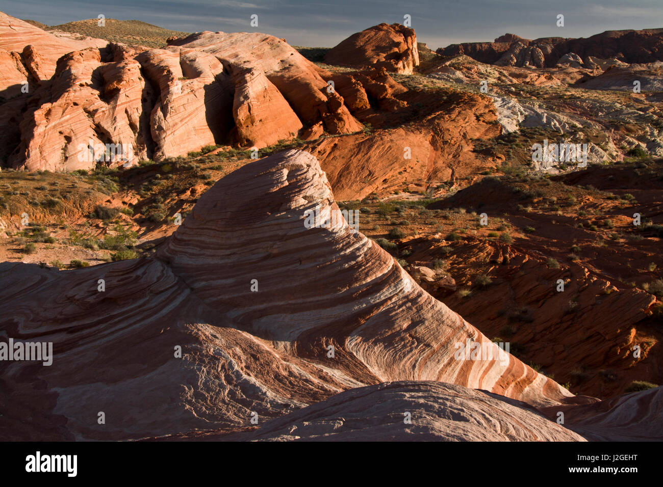 Fire Wave, Sunset, Valley of Fire State Park, Nevada, USA Stock Photo ...