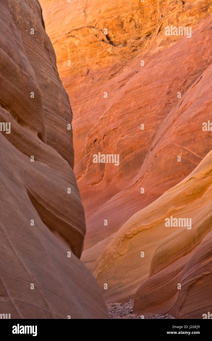 Detail, Pink Canyon, Valley of Fire State Park, Nevada, USA Stock Photo ...