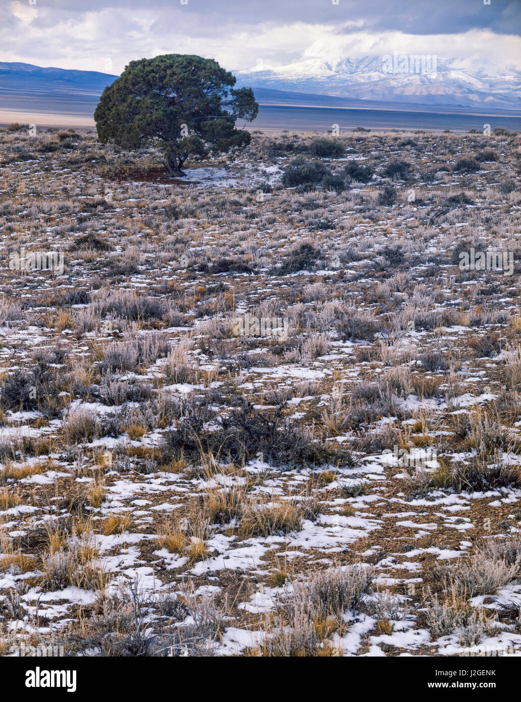 Goshute mountains hi-res stock photography and images - Alamy