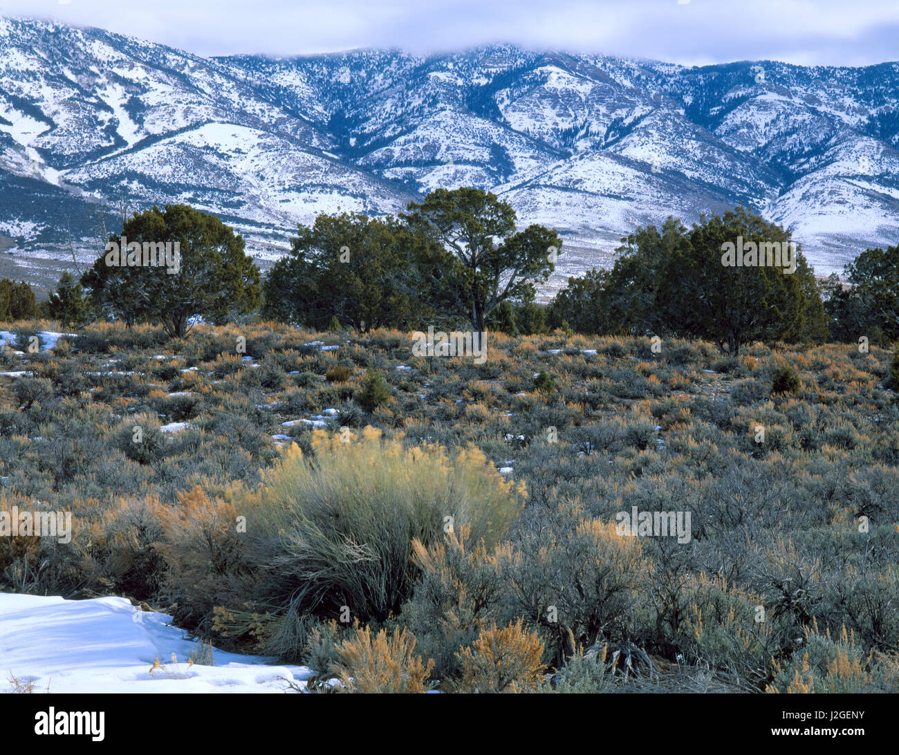 Juniper cave hi-res stock photography and images - Alamy