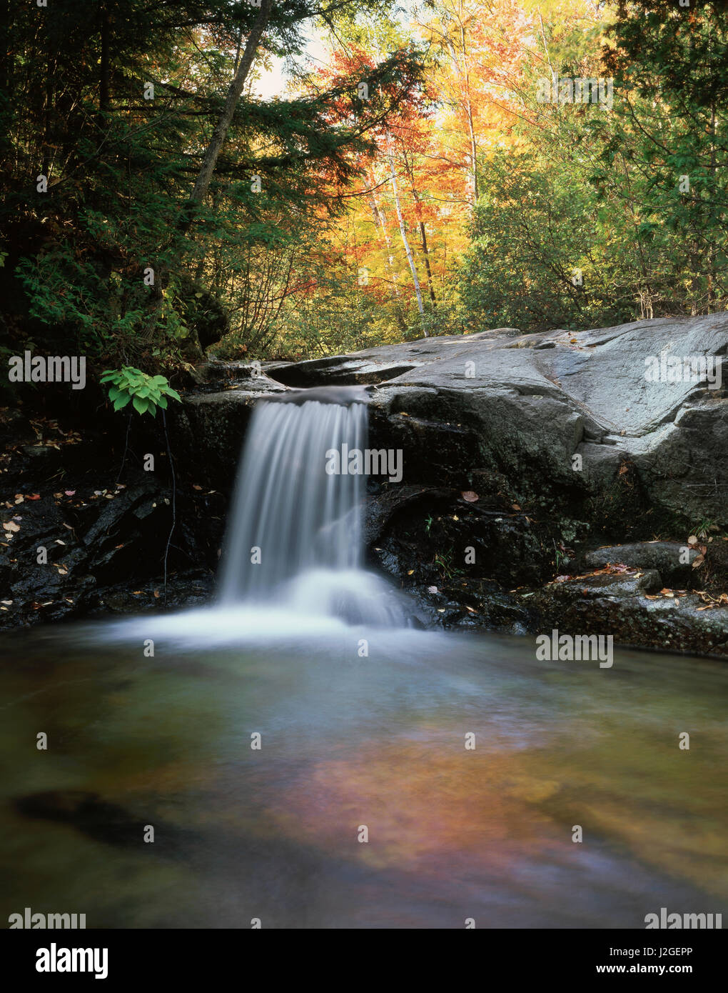 USA, New Hampshire, White Mountains National Forest, The autumn colors ...