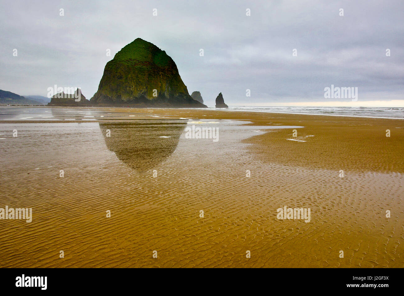 USA, Oregon, Cannon Beach. Sunrise reflection of Haystack Rock at low ...
