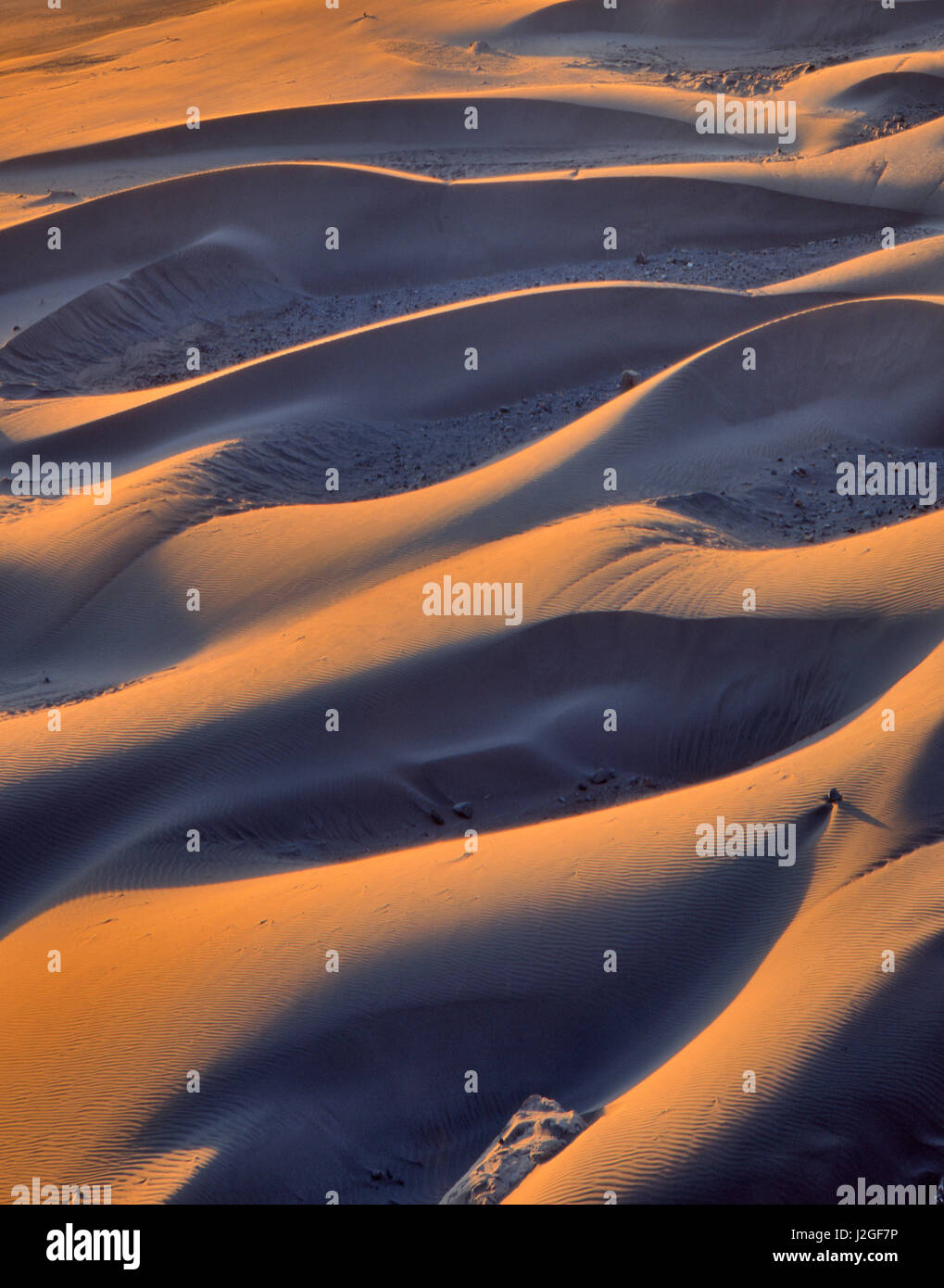 USA, Oregon, Cape Sebastian. Close-up of sand dunes. Credit as: Steve ...