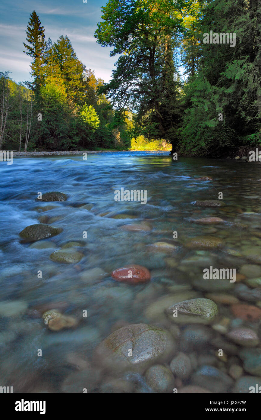 USA, Oregon, Mt. Hood National Forest. Sandy River landscape. Credit as ...
