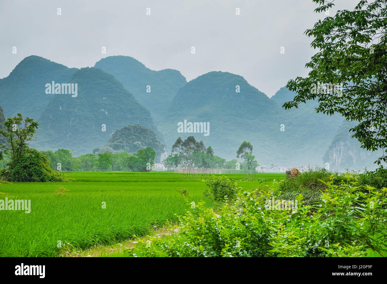 Beautiful countryside scenery in spring Stock Photo - Alamy