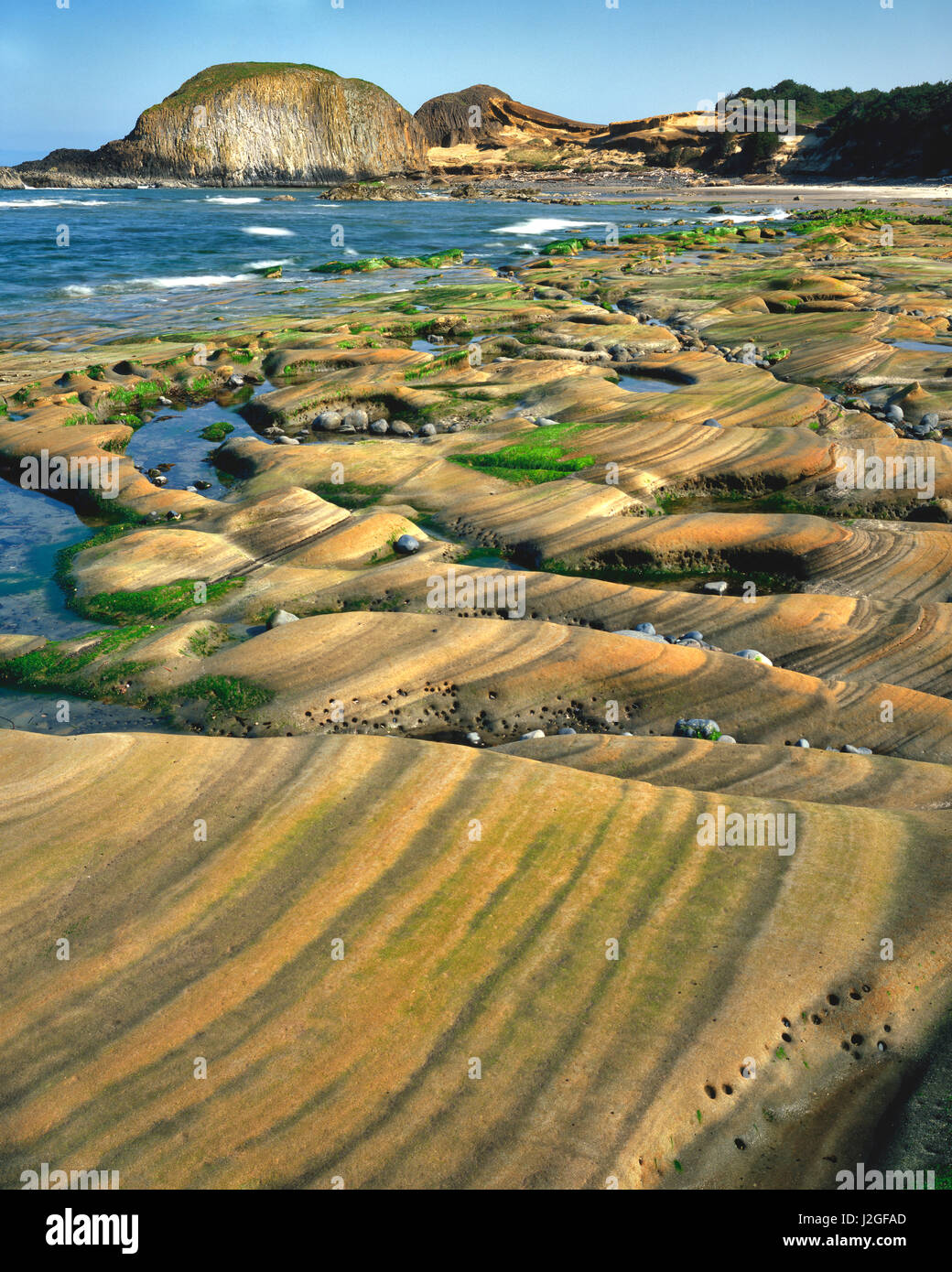 Seal rock sate park patterns hi-res stock photography and images - Alamy
