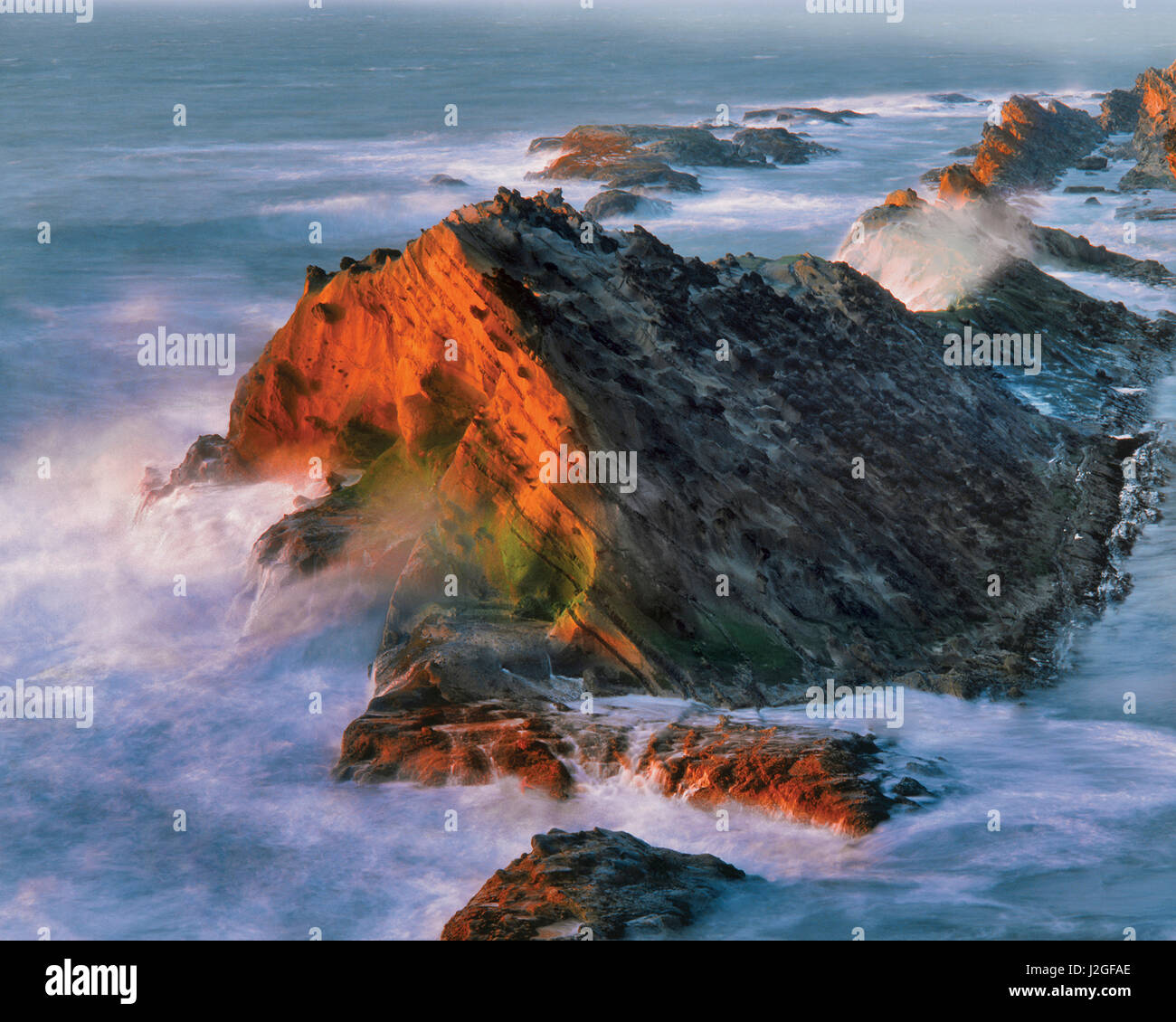 USA, Oregon, Shore Acres State Park. Sunset light on ocean shore cliffs ...