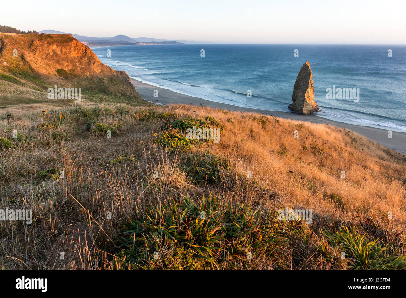 Needle Rock at Cape Blanco State Park, Oregon, USA Stock Photo - Alamy