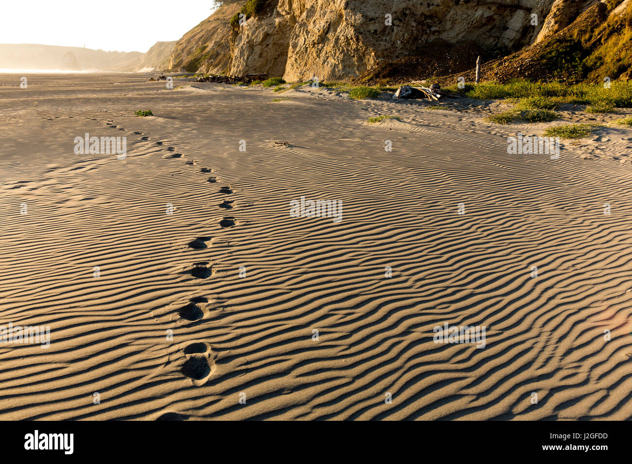 Foot prints in the sand patterns on the beach at Cape Blanco State Park ...