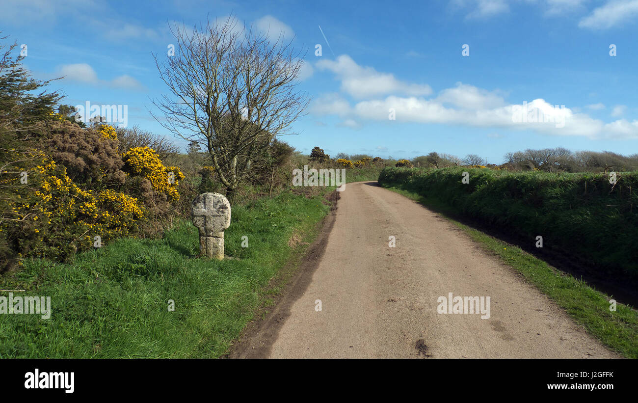 Grademedieval wayside preaching cross near st madderns well hi-res ...