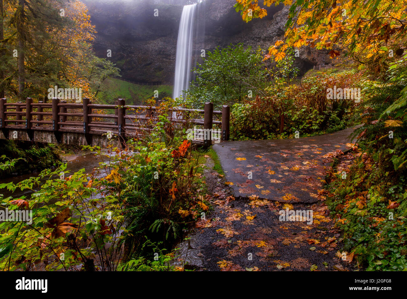 South Falls in autumn at Silver Falls State Park near Silverton, Oregon ...