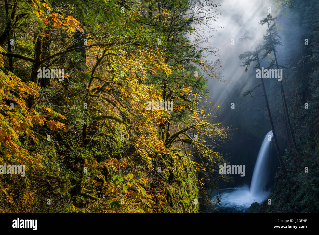 USA, Oregon. Autumn fall color and sun-streaked mist at Metlako Falls ...