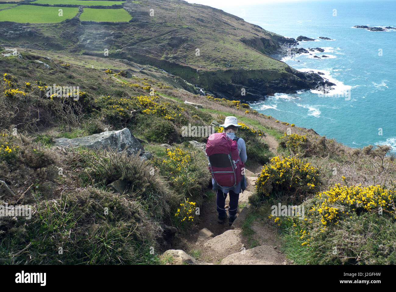 Female backpacker on South West Coast path heading for Zennor from St ...