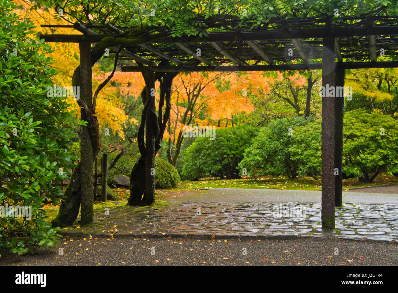 Japanese garden trellis hi-res stock photography and images - Alamy