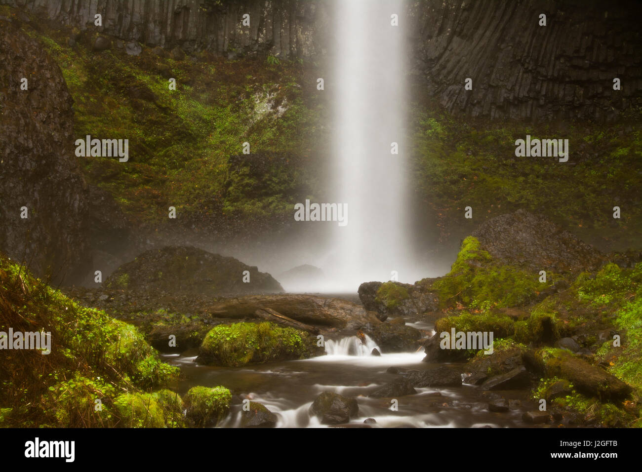Latourell Falls, Guy W. Talbot State Park, Oregon, USA Stock Photo - Alamy
