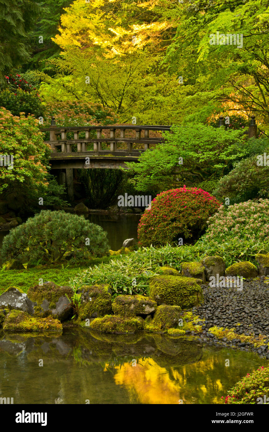 Moon Bridge, spring, Portland Japanese Garden, Portland, Oregon, USA Stock Photo - Alamy