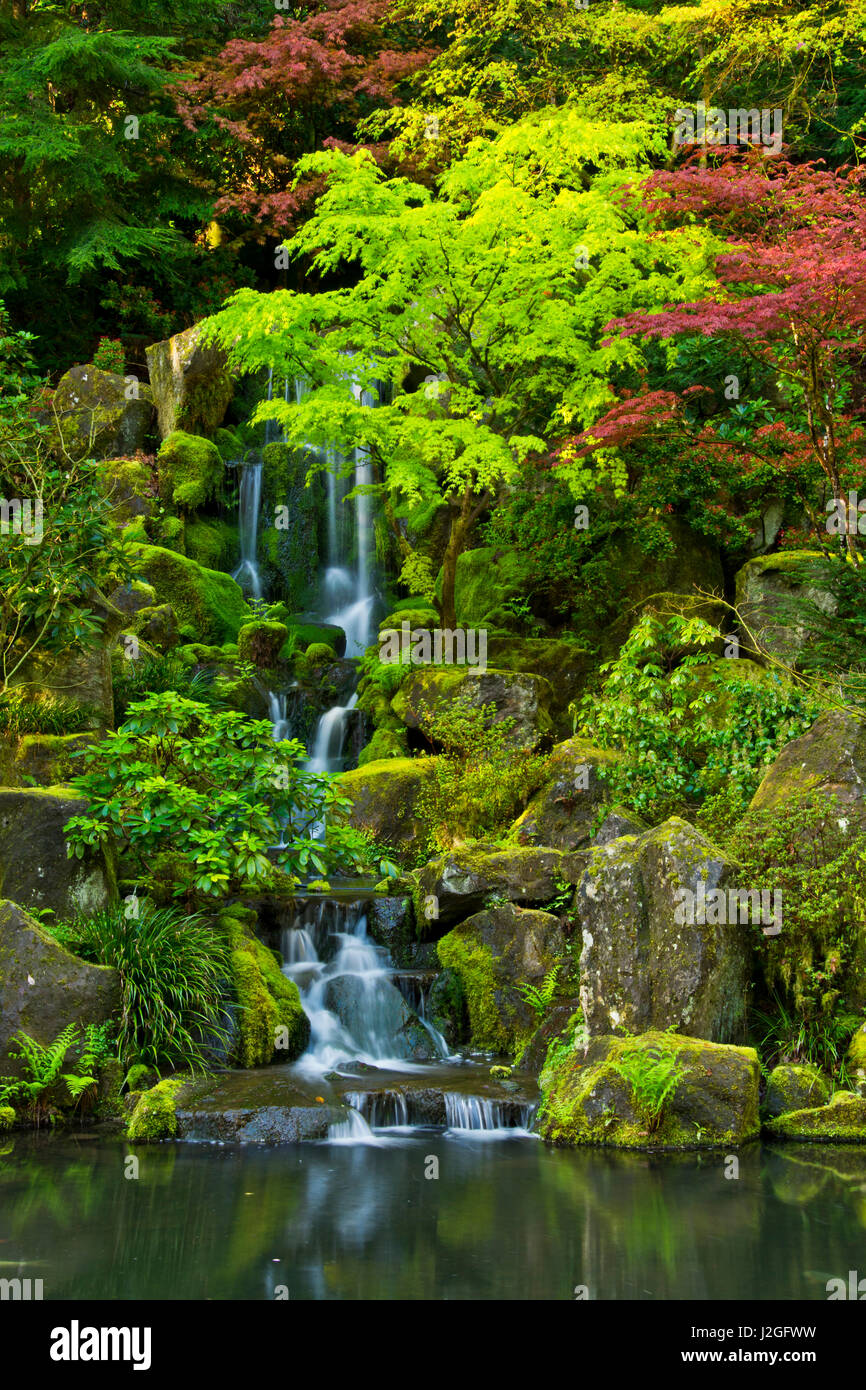 Heavenly Falls, spring, Portland Japanese Garden, Portland, Oregon, USA ...