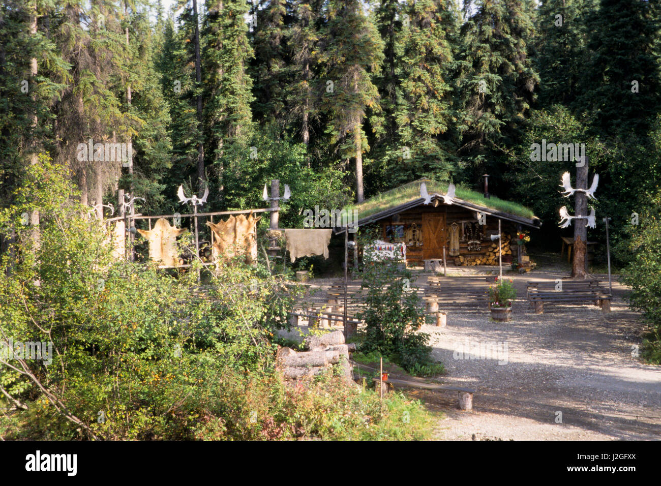 Traditional Athabaskan Indian village used as a fishing and hunting ...