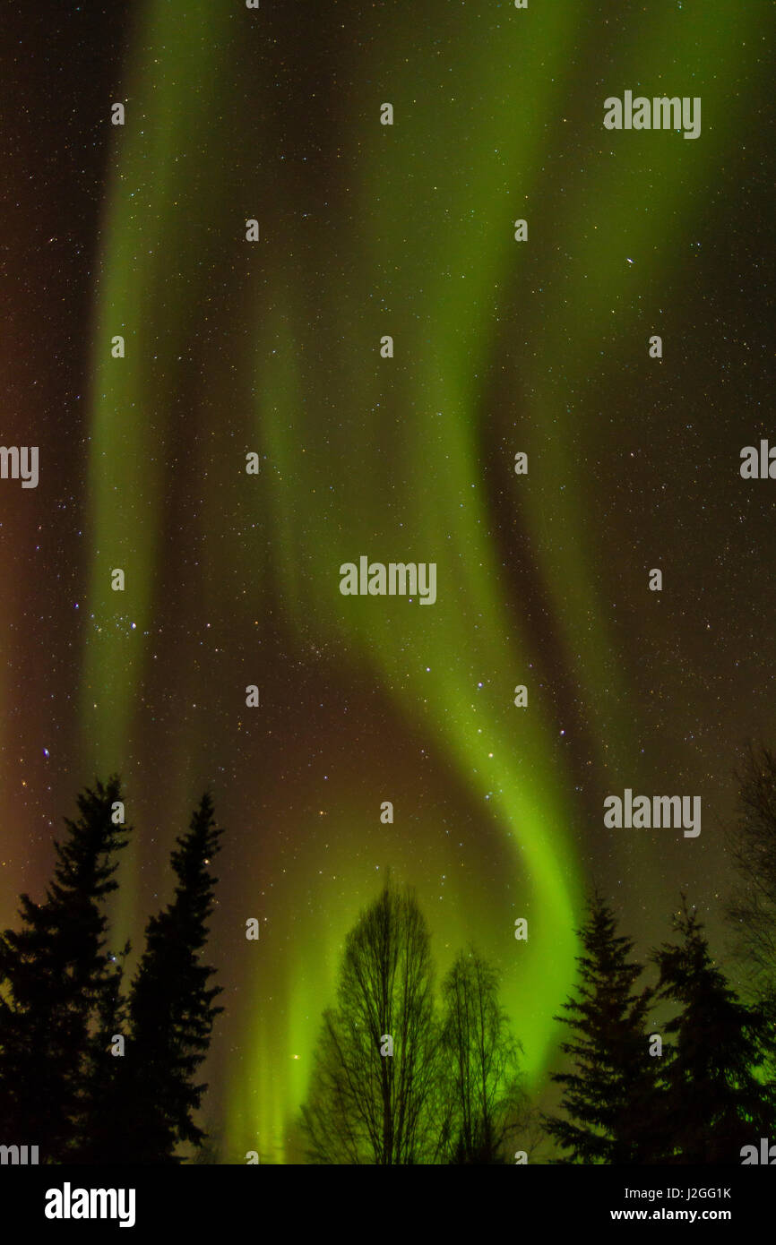 Fairbanks northern lights patterns hi-res stock photography and images ...