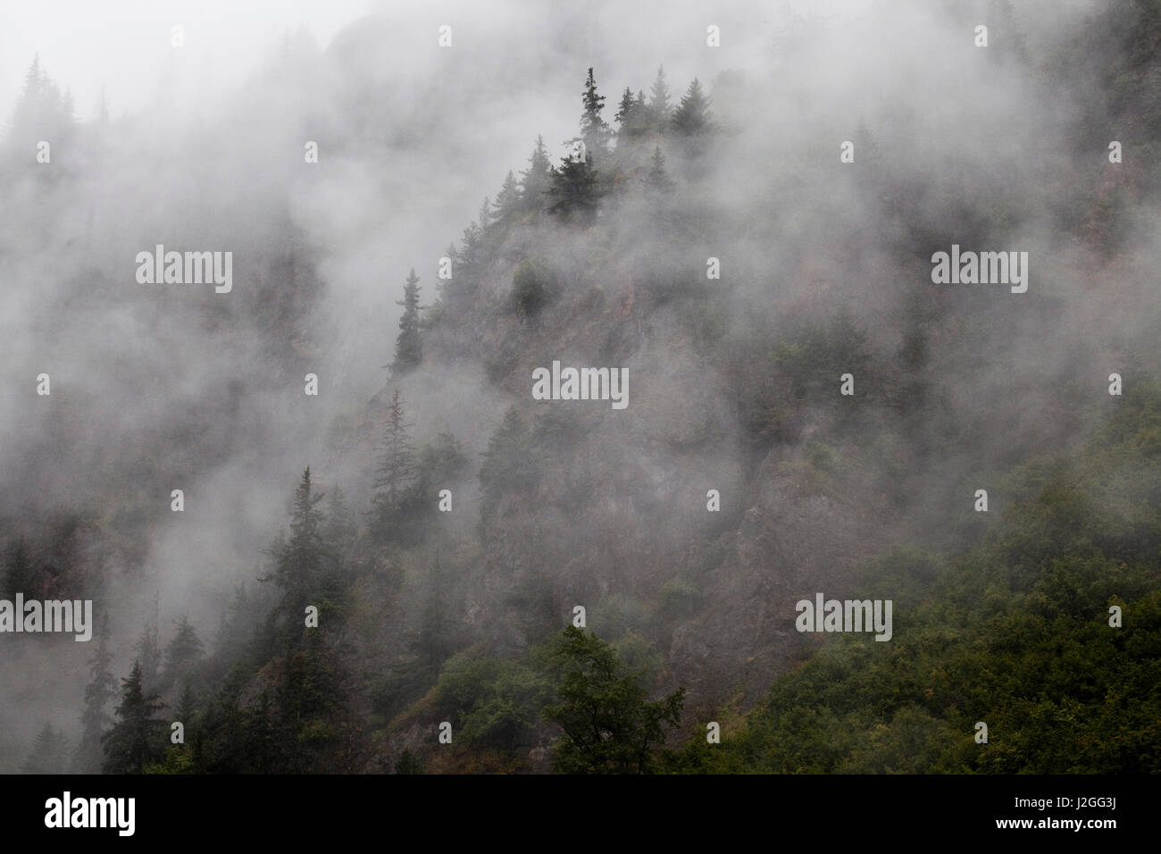 USA, Alaska, Inside Passage, Foggy Ridge Stock Photo - Alamy