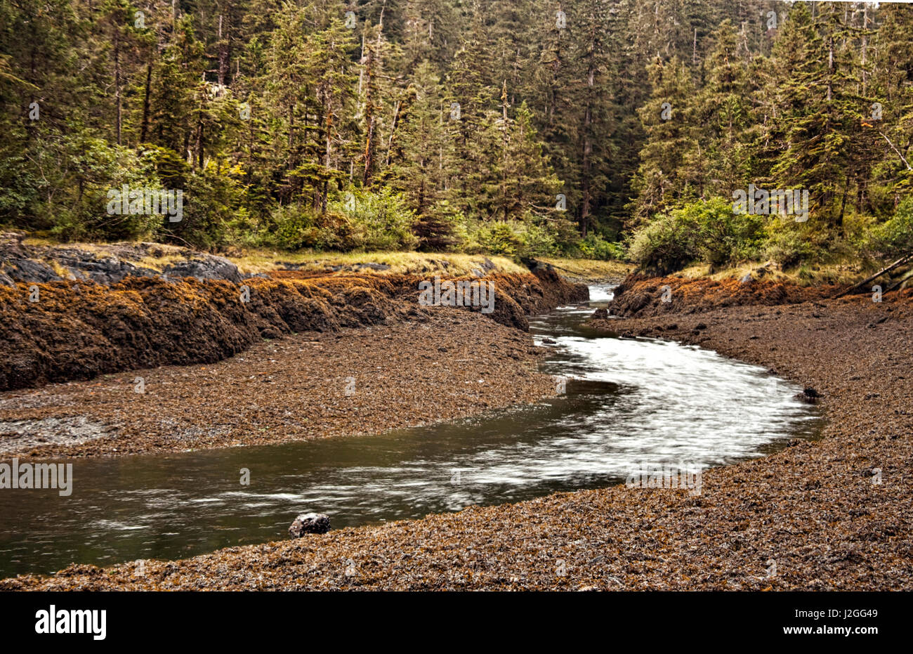 Inside river hi-res stock photography and images - Alamy