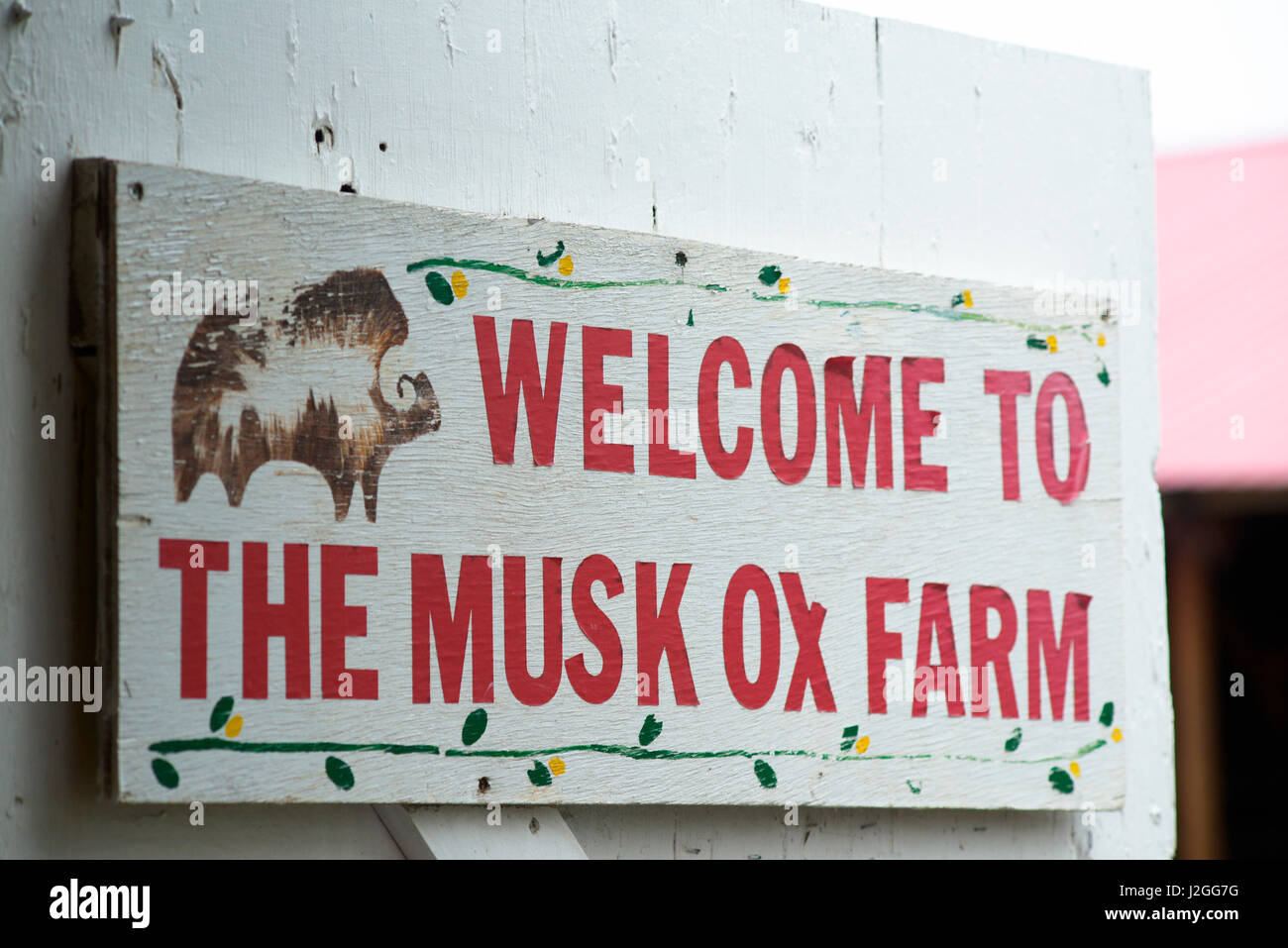 Welcome to famous musk ox farm in palmer hi-res stock photography and ...