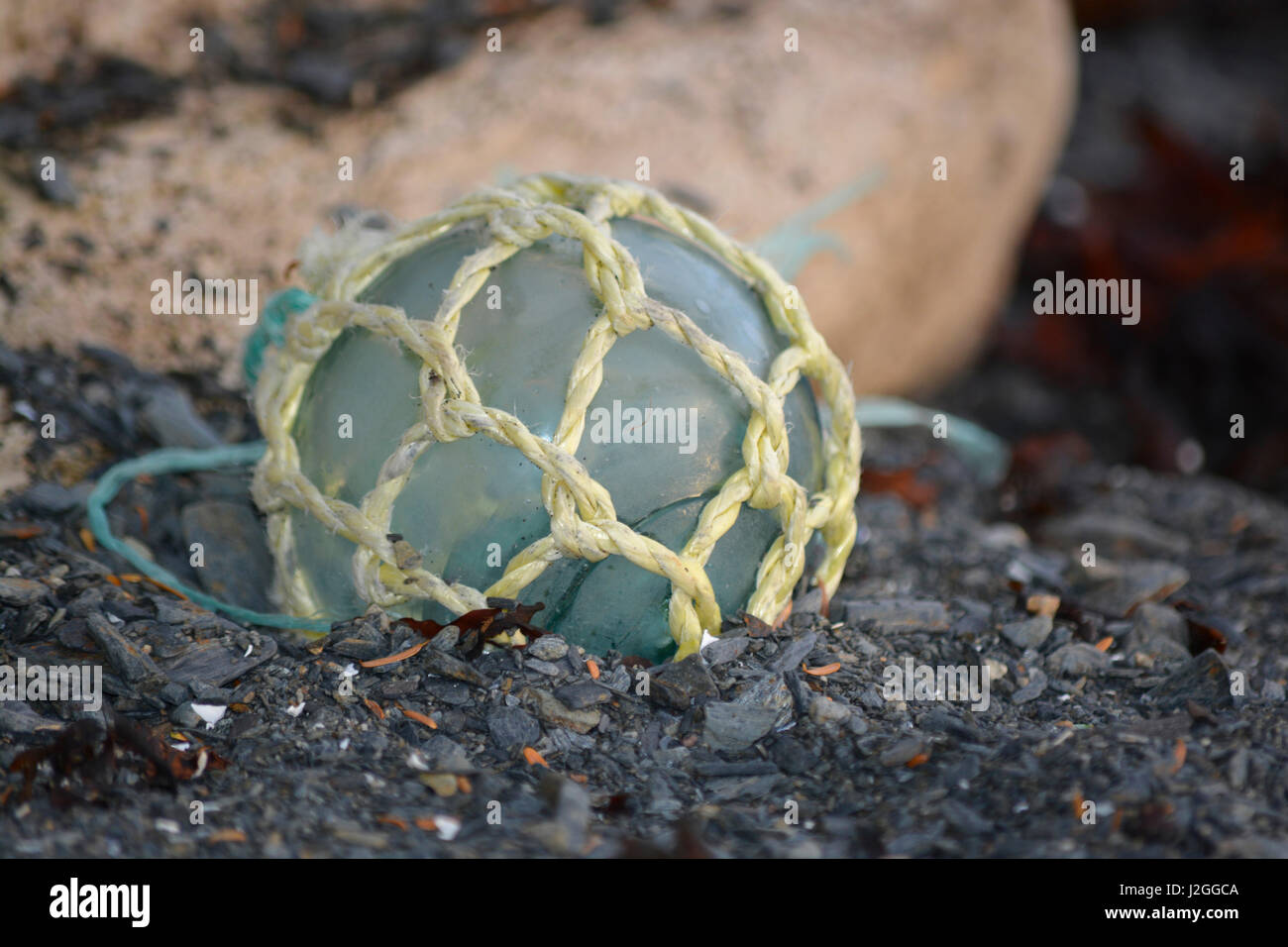 USA, Southeast Alaska near Ketchikan, Japanese glass fishing float ...