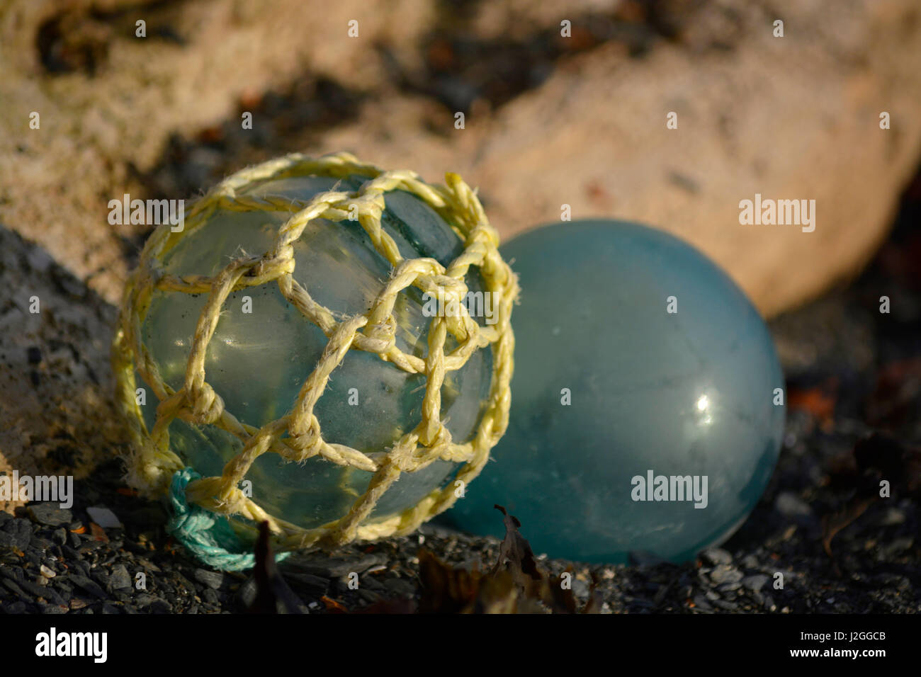 USA, Southeast Alaska near Ketchikan, Japanese glass fishing float ...