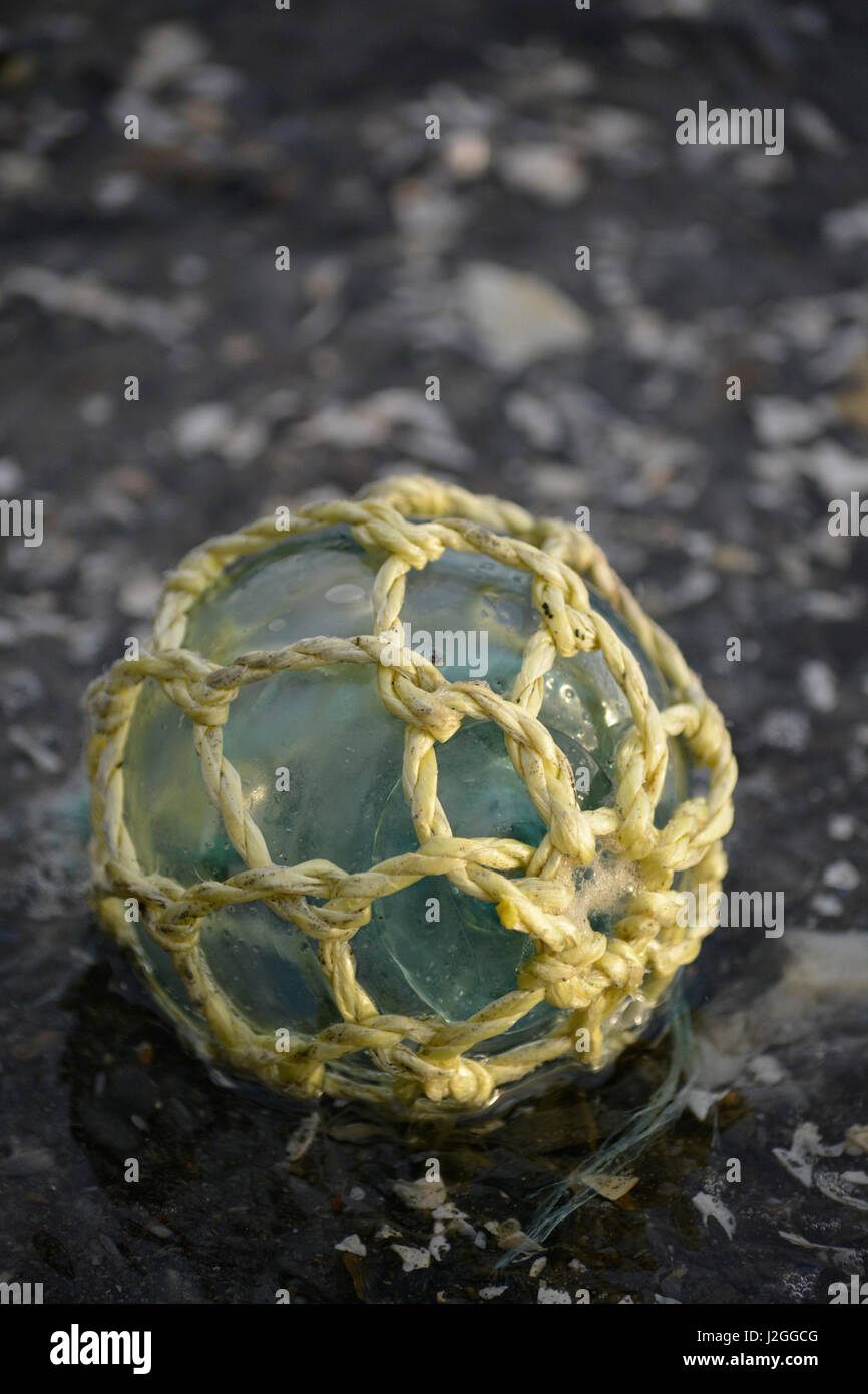 USA, Southeast Alaska near Ketchikan, Japanese glass fishing float ...