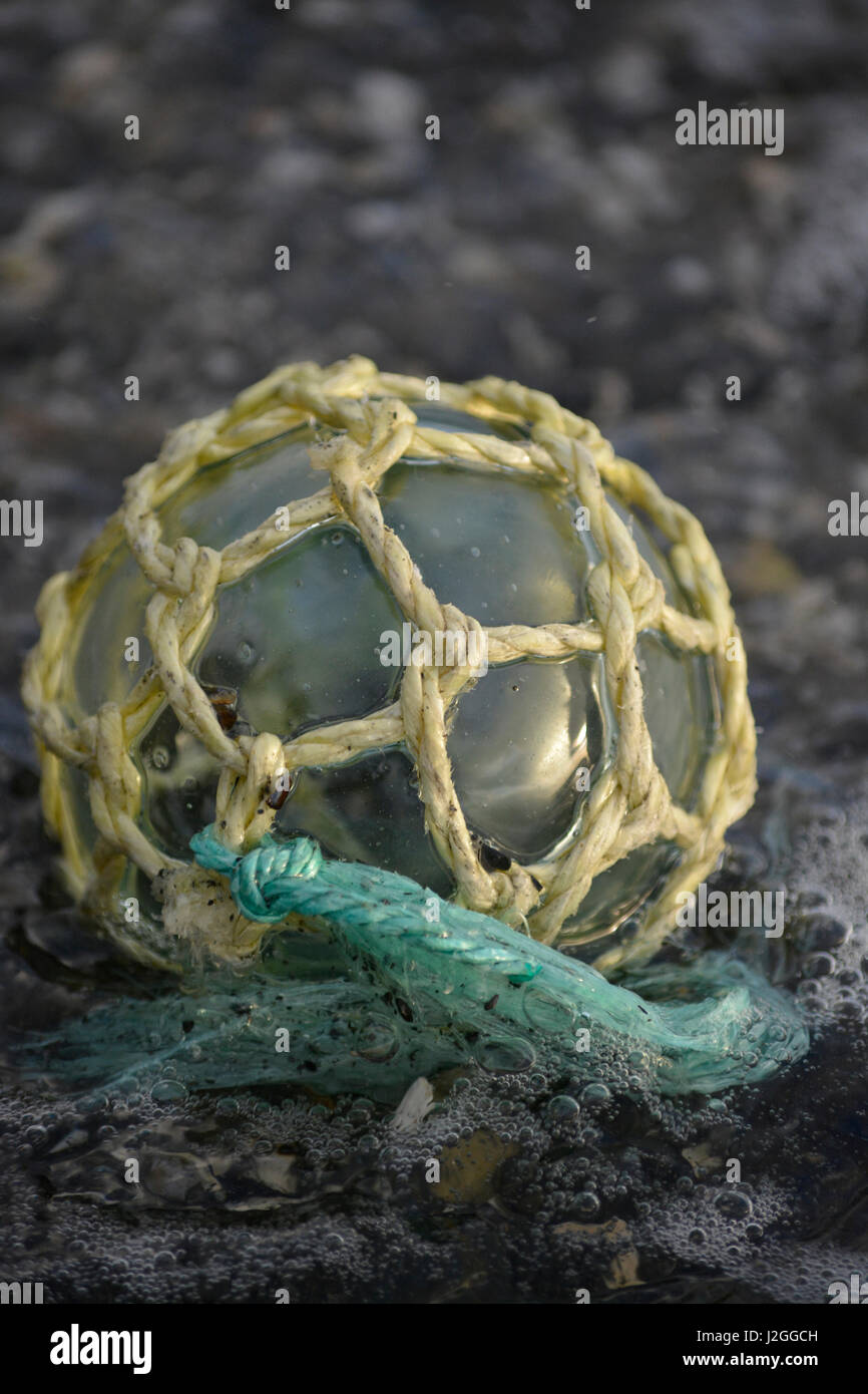 USA, Southeast Alaska near Ketchikan, Japanese glass fishing float ...