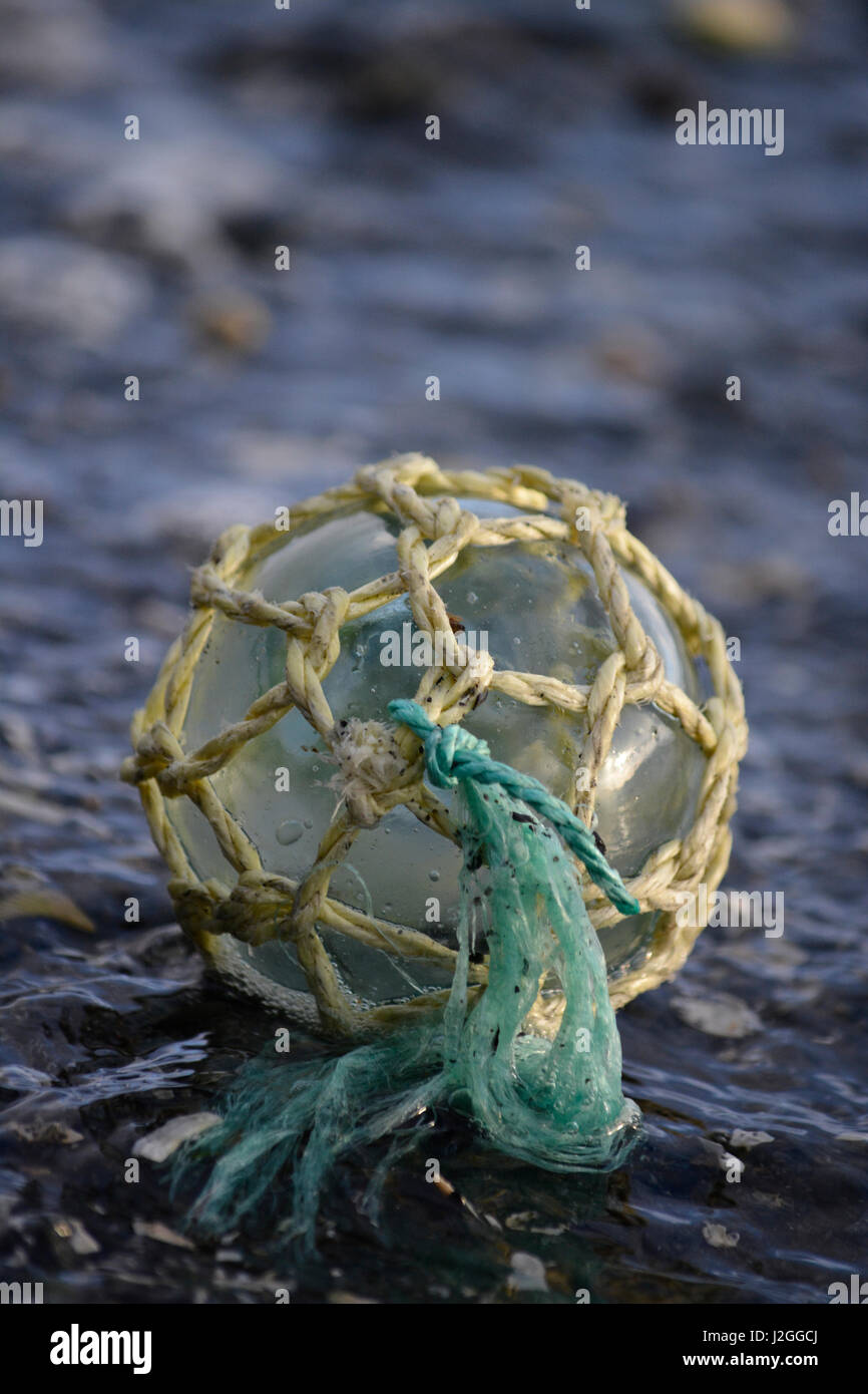 USA, Southeast Alaska near Ketchikan, Japanese glass fishing float ...