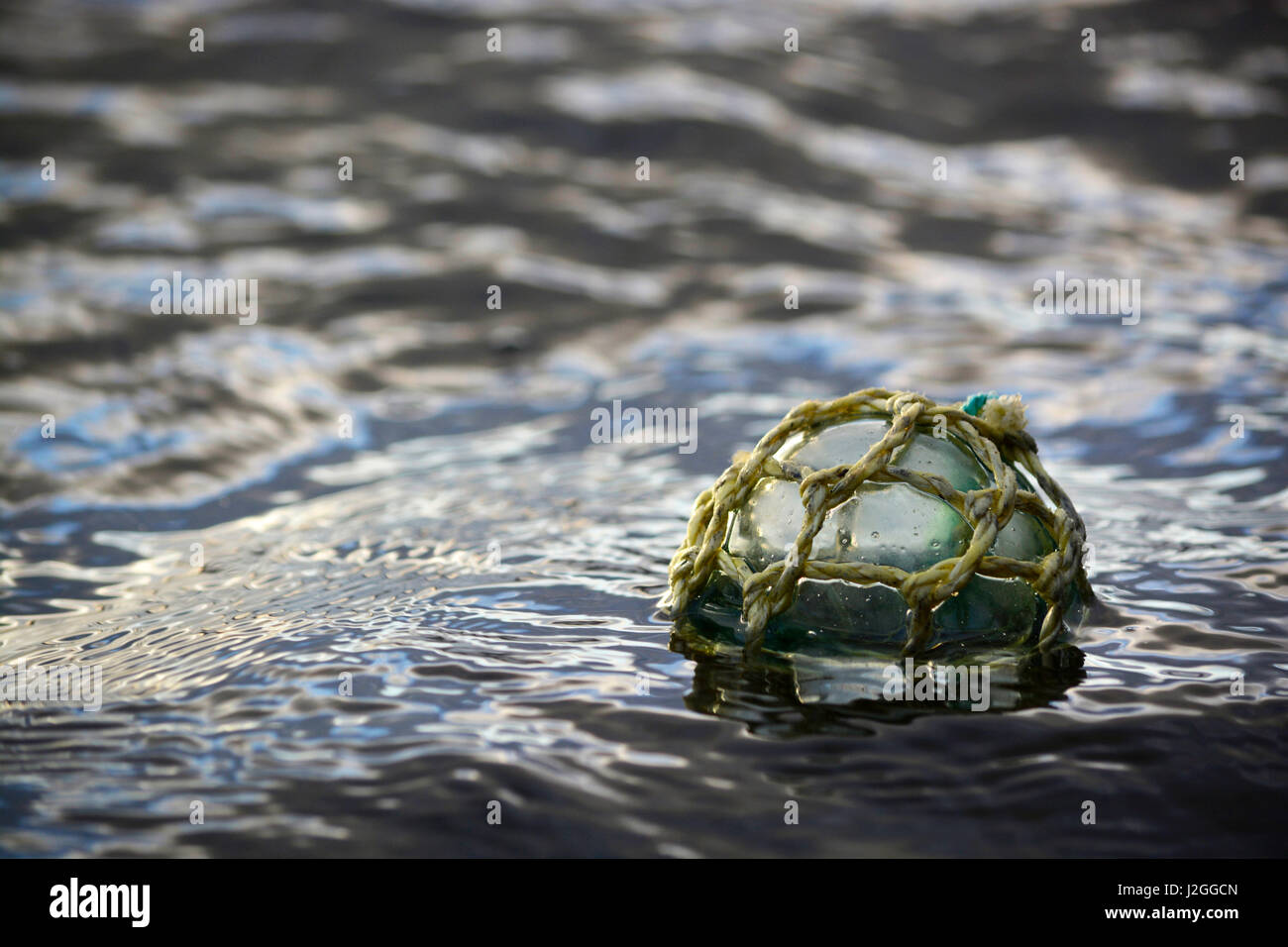 USA, Southeast Alaska near Ketchikan, Japanese glass fishing float ...