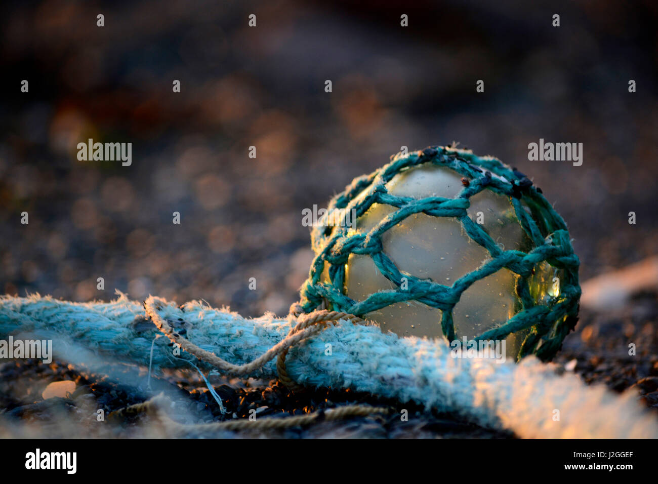 USA, Southeast Alaska near Ketchikan, Japanese glass fishing float ...