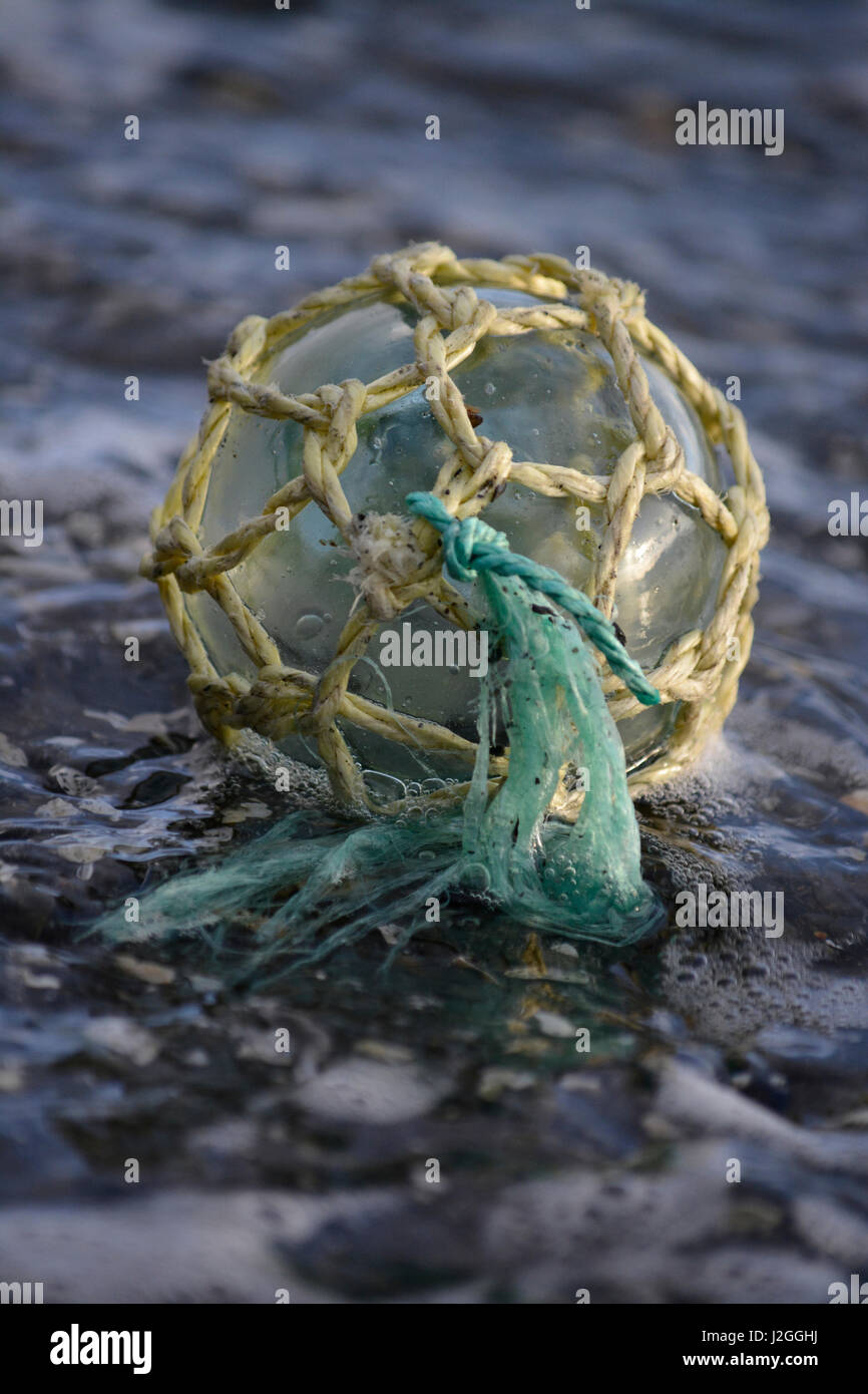 USA, Southeast Alaska near Ketchikan, Japanese glass fishing float ...