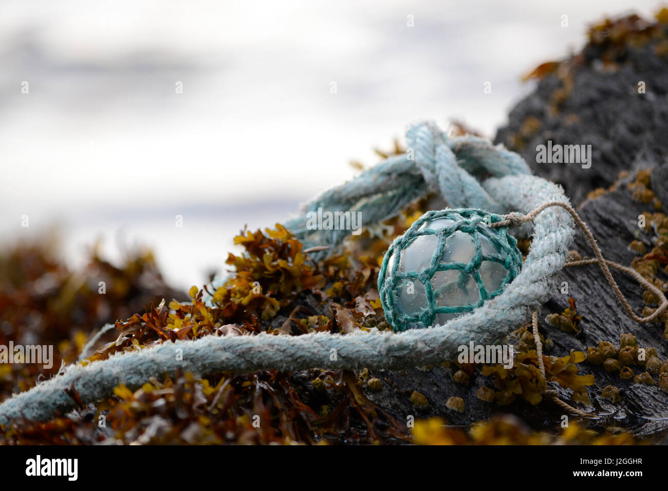 USA, Southeast Alaska near Ketchikan, Japanese glass fishing float ...