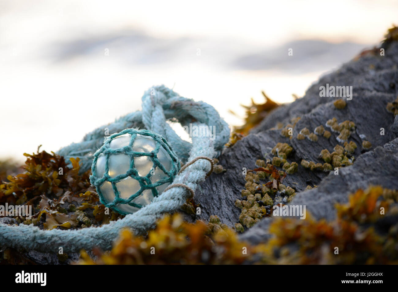 USA, Southeast Alaska near Ketchikan, Japanese glass fishing float ...