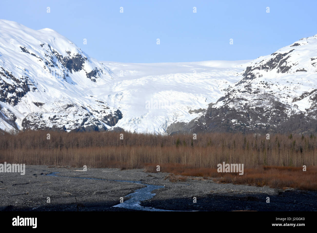 USA, Alaska, Exit Glacier early Spring Stock Photo - Alamy