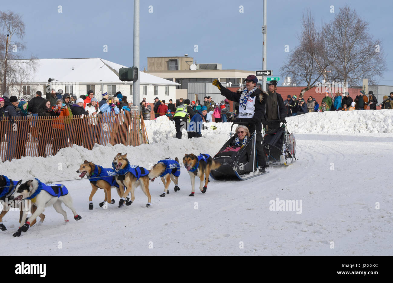 USA, Alaska, Anchorage, downtown 2016 Iditarod start Stock Photo - Alamy