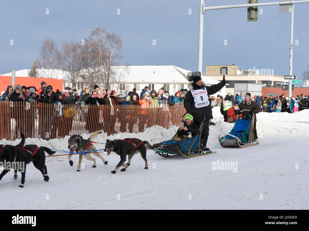 USA, Alaska, Anchorage, downtown 2016 Iditarod start Stock Photo - Alamy