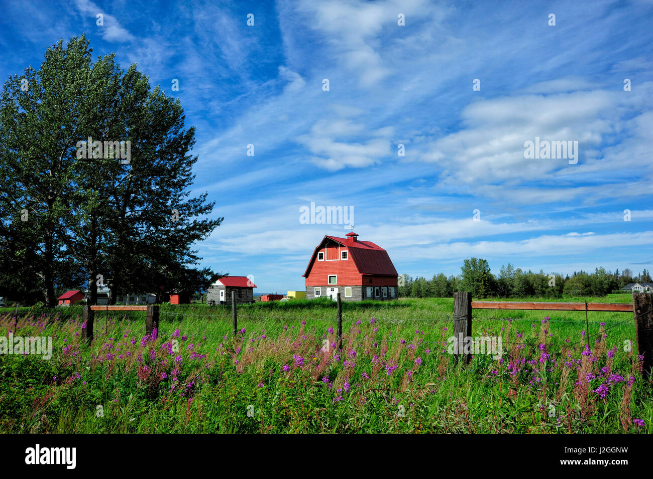 Typical colony home in Palmer area Alaska Stock Photo - Alamy
