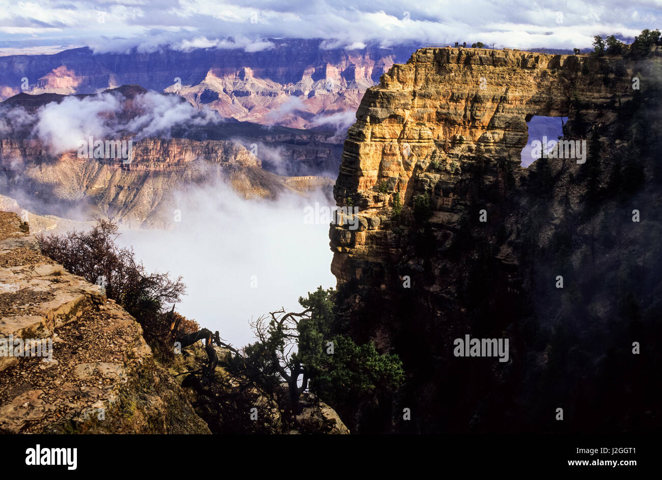 USA, Arizona, Grand Canyon National Park. North Rim, Clouds swirl ...